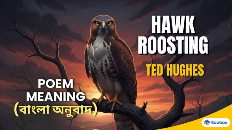 Hawk Roosting Poem Bengali Meaning (সহজ অর্থ) Class 12 4th Semester ...